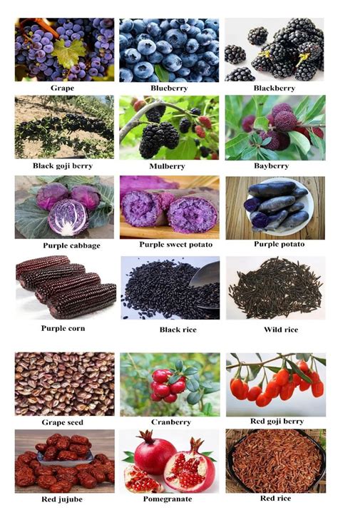 What Are The Best Sources Of Proanthocyanidins Qfzq