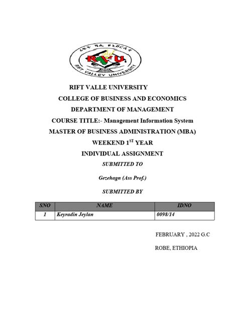 Mis New Assignment Pdf Information System System