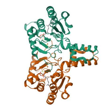 Rcsb Pdb 4h8e Structure Of S Aureus Undecaprenyl Diphosphate Synthase In Complex With Fpp