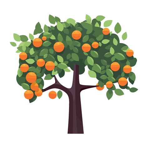 Orange Tree With Fruit Illustration 48920085 Vector Art At Vecteezy