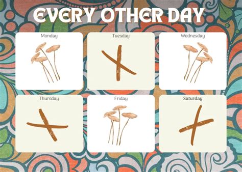 Elevate Your Mind Microdosing Protocols For Shroomers