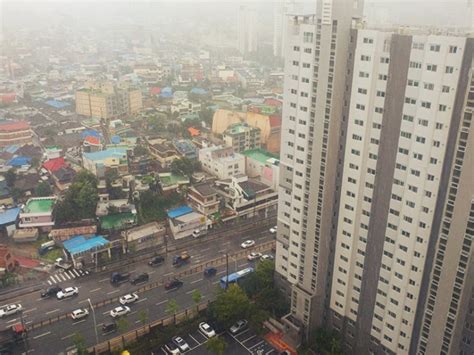 갑자기 내리는 소나기 네이버 블로그