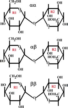 Structural And Vibrational Characterization Of Anhydrous And Dihydrated