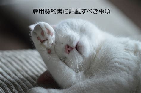 雇用契約書に記載すべき事項 うみそら行政書士社労士事務所