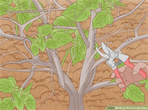 3 Ways To Remove Bushes WikiHow