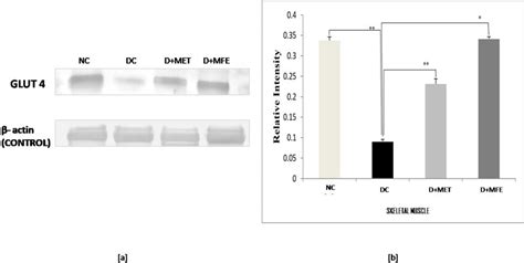 comparison of the glut 4 protein expression in skeletal muscle between