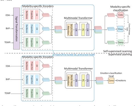 Transformer Based Self Supervised Multimodal Representation Learning