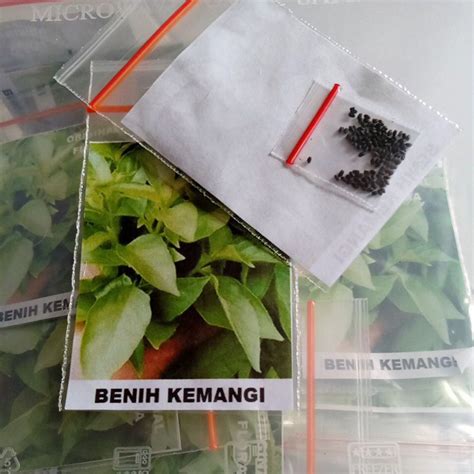 Jual Biji Kemangi Benih Kemangi Siap Semai Shopee Indonesia