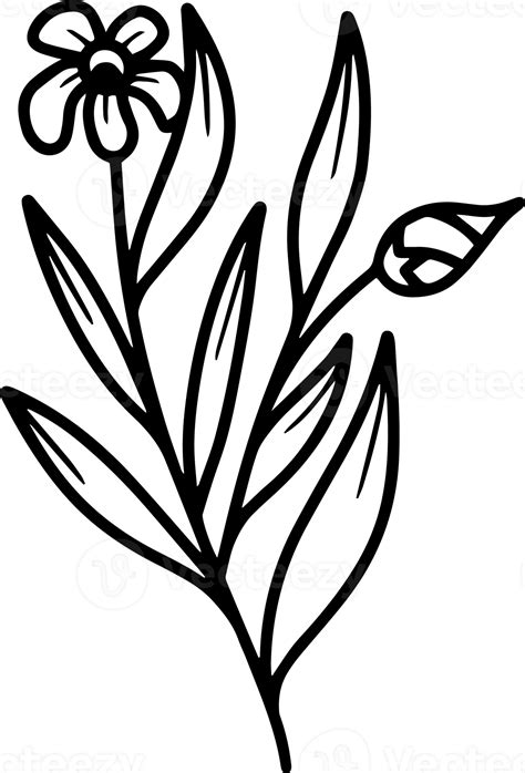Hand Drawn Flower Sketch Line Art Illustration 10863557 Png