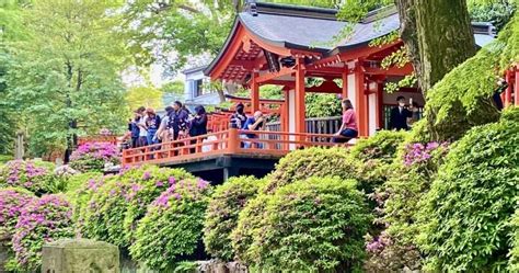 Santuario Nezu MikeLeeRose