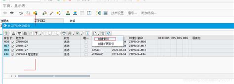 Sap 自建数据库表的索引sap Index Csdn博客