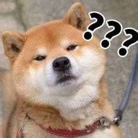 Nginx Nginx Csdn