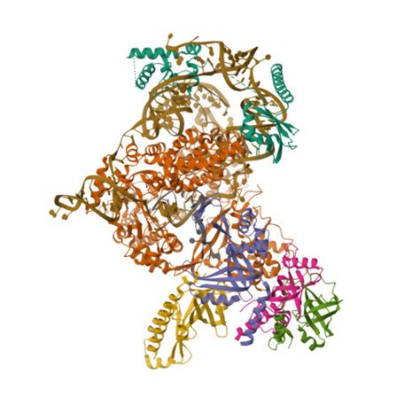 Rcsb Pdb 7uy6 Tetrahymena Telomerase At 29 Angstrom Resolution