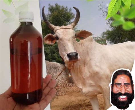 Baba Ramdev Ayurvedic And Home Remedies For Disease In Hindi Baba