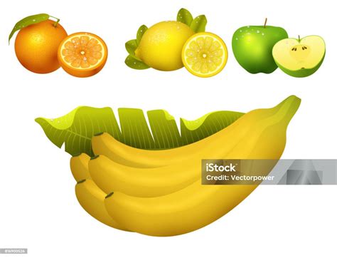 익은 과일 현실적인 맛있게 건강 한 벡터 일러스트 레이 션 채식 다이어트 신선도 열 대 간식 디저트 개체 그룹에 대한 스톡 벡터