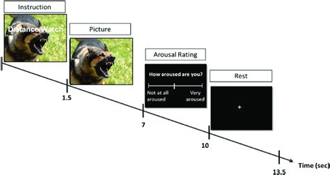 Design Of Emotion Regulation Task Stimulus Was Shown For 65 S With Download Scientific