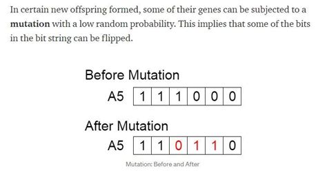 Week 4 Genetic Algorithm Skill Lync