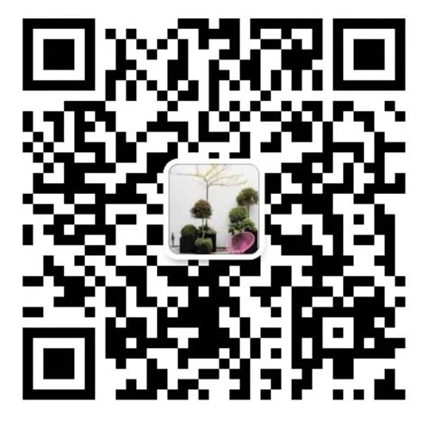 针葵造景效果图