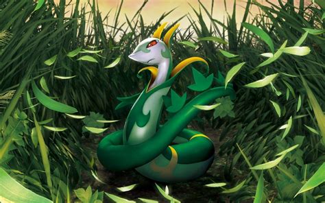 Serperior HD Wallpapers Wallpaper Cave