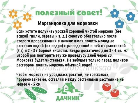 УДОБРЕНИЯ ДЛЯ КЛУБНИКИ ИЗ ХЛЕБА: Дневник группы «Во саду ли, в огороде ...