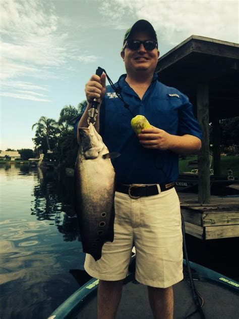 Peacock Bass And Clown Knifefish On Lake Ida