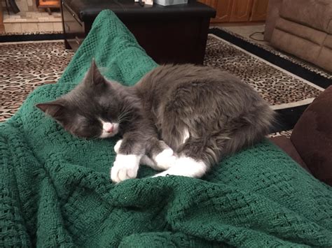 Reddit Meet Pixie Raww