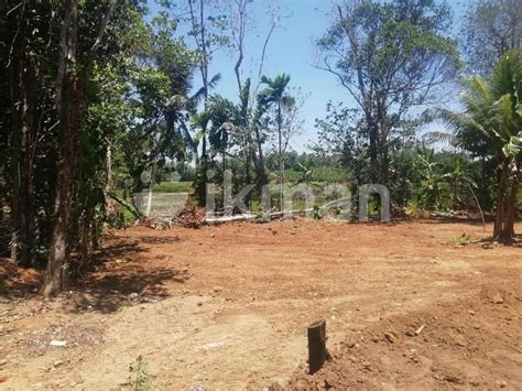 පර්චස් 14 බැගින්වු ඉඩම් කැබලි 2ක් විකිනීමට ඇත Ikman