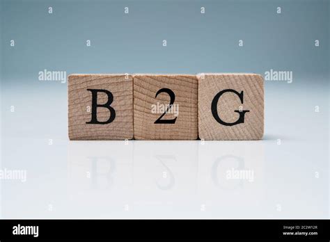 B2g Wooden Blocks Representing Business 2 Government Business Model