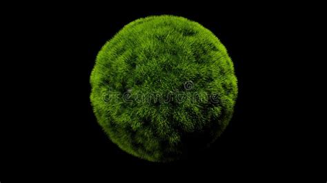 3d Render Grass Sphere Stock Video Video Of Environmental 295555465