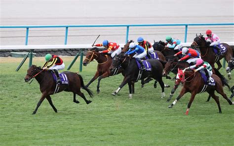 ＜エリザベス女王杯＞抜け出して勝利したスタニングローズ（左端）（撮影・岸 良祐） スポニチ Sponichi Annex ギャンブル