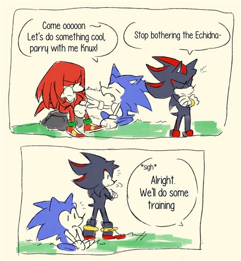 Comic Strip With Sonic The Hedgehog And Tails Talking To Each Other
