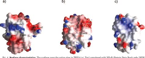 Figure 1 From Structural Basis Of Cellular Redox Regulation By Human