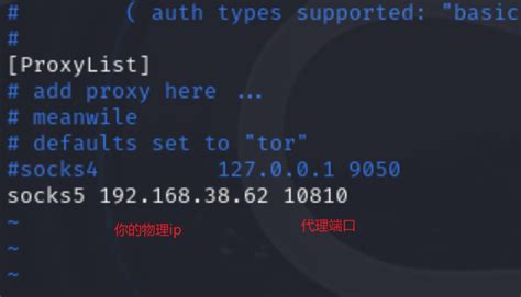 在 Kali Linux 虚拟机中实现主机代理共享的详细指南kali设置代理 Csdn博客