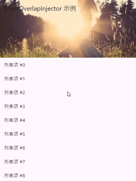 flutter可滚动组件（1）：sliver fengmisaka 博客园