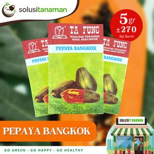 Jual Ready Benih Pepaya Bangkok Gr Biji Bibit Pepaya Ta Fung Benih Pepaya Tafung Benih