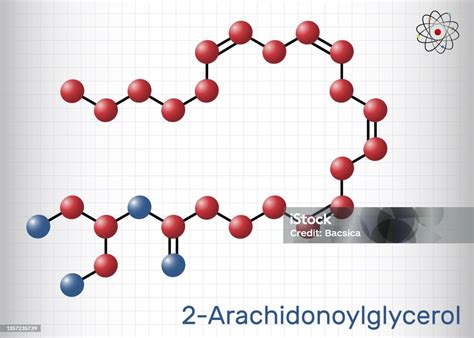 2arachidonoylglycerol Molekul 2ag Ini Adalah Endocannabinoid Terbentuk