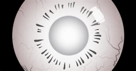 Imgur The Magic Of The Internet