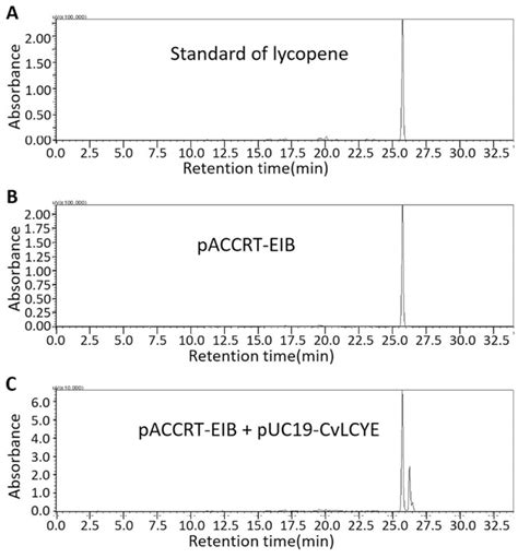 HPLC Analysis Of Lycopene Content Of E Coli Strain Expressing CvLCYE Download Scientific