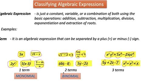 Cómo Clasificar Términos Algebraicos Correctamente Escuela Experta