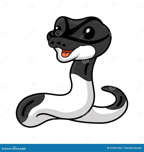 Cute Panda Pied Ball Python Cartoon Stock Vector Illustration Of