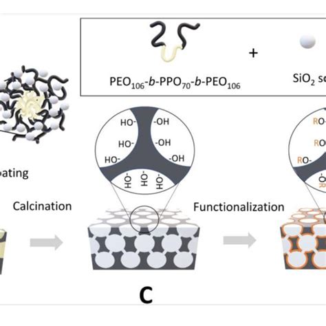 Sol Gel Synthesis Route Towards Methyl Functionalized Mesoporous Silica Download Scientific