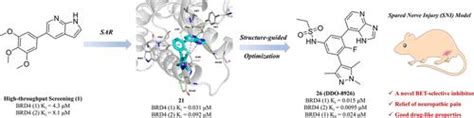 Discovery Of 1h Imidazo[4 5 B]pyridine Derivatives As Potent And