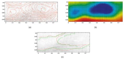 Real Vector Field Segmentation A The Real Velocity Field V F With Download Scientific