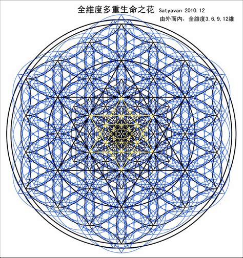 Pin By Hiroko On Geometry Flower Of Life Geometry Flowers