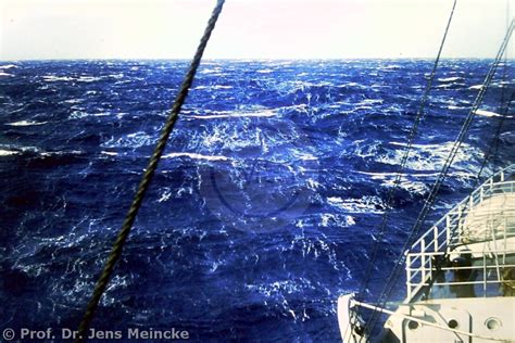 Willkommen Auf Der Anton Dohrn Website Welcome To The Anton Dohrn Website 9 January 2012