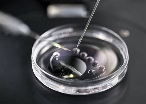 ¿sabías Centro De Ginecologia Y Reproduccion Asistida Facebook