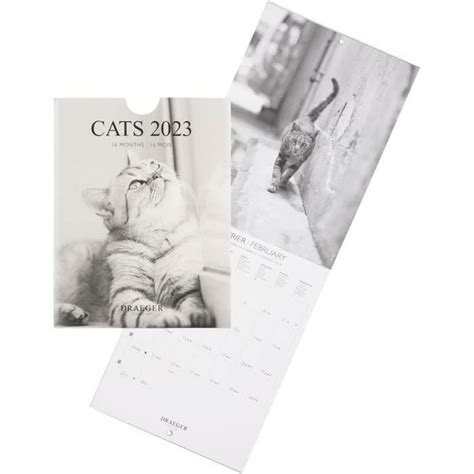 Draeger Paris Petit Calendrier Mural Chats Suspendre X Cm Mois Sept Dec