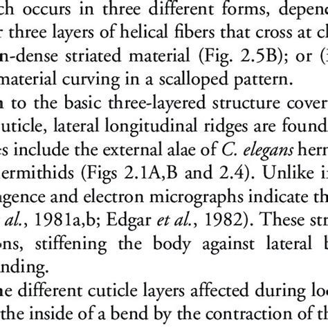 4 Cuticle And Hypodermis In Caenorhabditis Elegans Hermaphrodite A