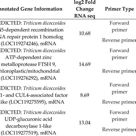 Abundance Of Transcription Factors In Transcription Factor Families In Download Scientific