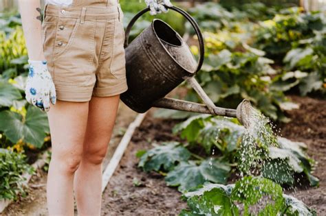 4 Great Hobby Ideas To Improve Your Mental Health A Life Of Lovely